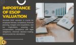 Comprehensive ESOP Valuation In 6 Steps | Marcken Consulting